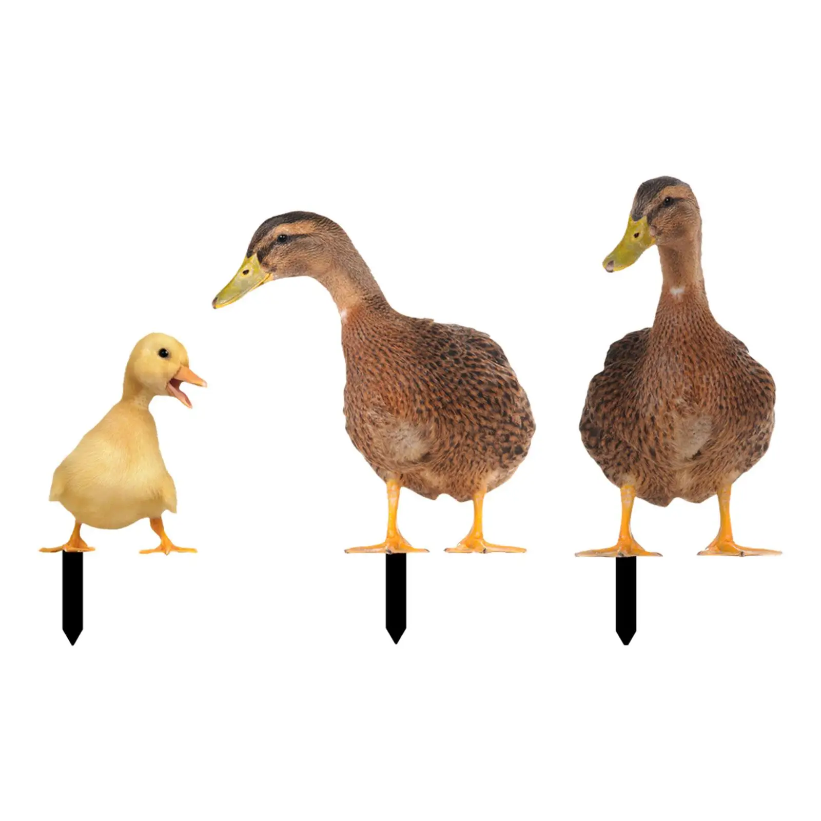 3Pcs-Duck-Statue-Stakes-Lawn-Ornament-Garden-Poultry-Statue-Sign-Duck ...