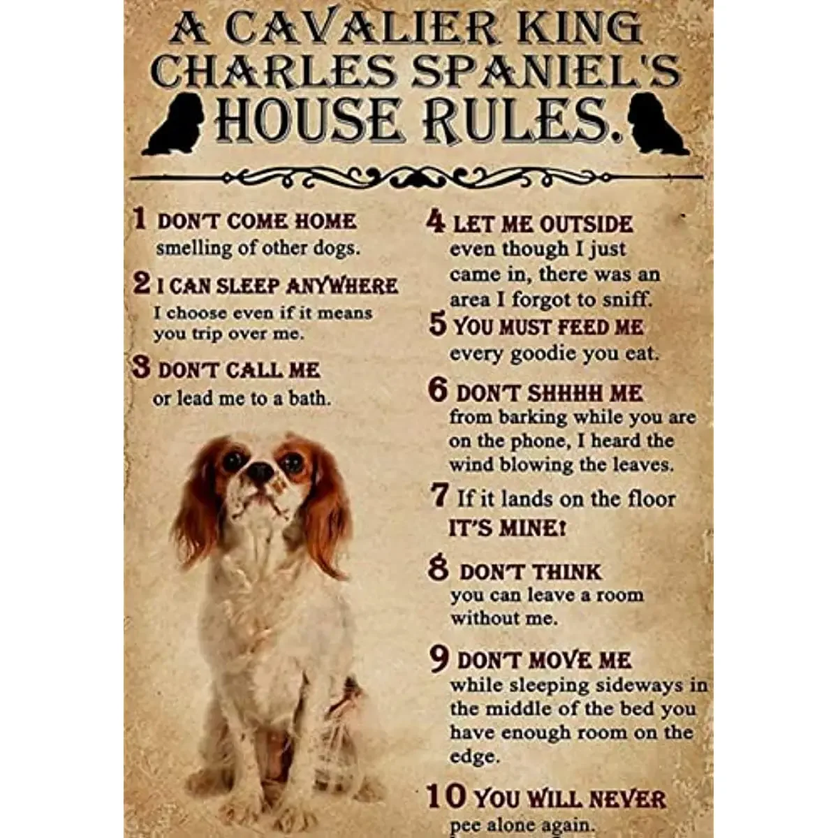 New-A-Cavalier-King-Charles-Gifts-Retro-Metal-Tin-Sign-Wall-Poster-Home ...