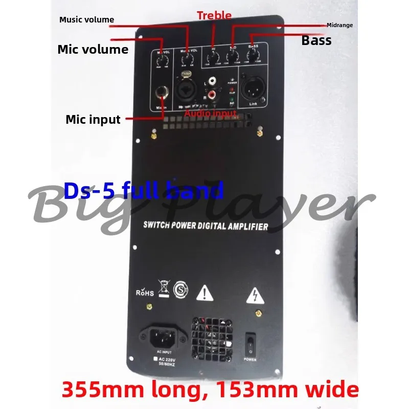 Class D Power Amplifier Audio Module Active Board DS-5 Digital Power ...