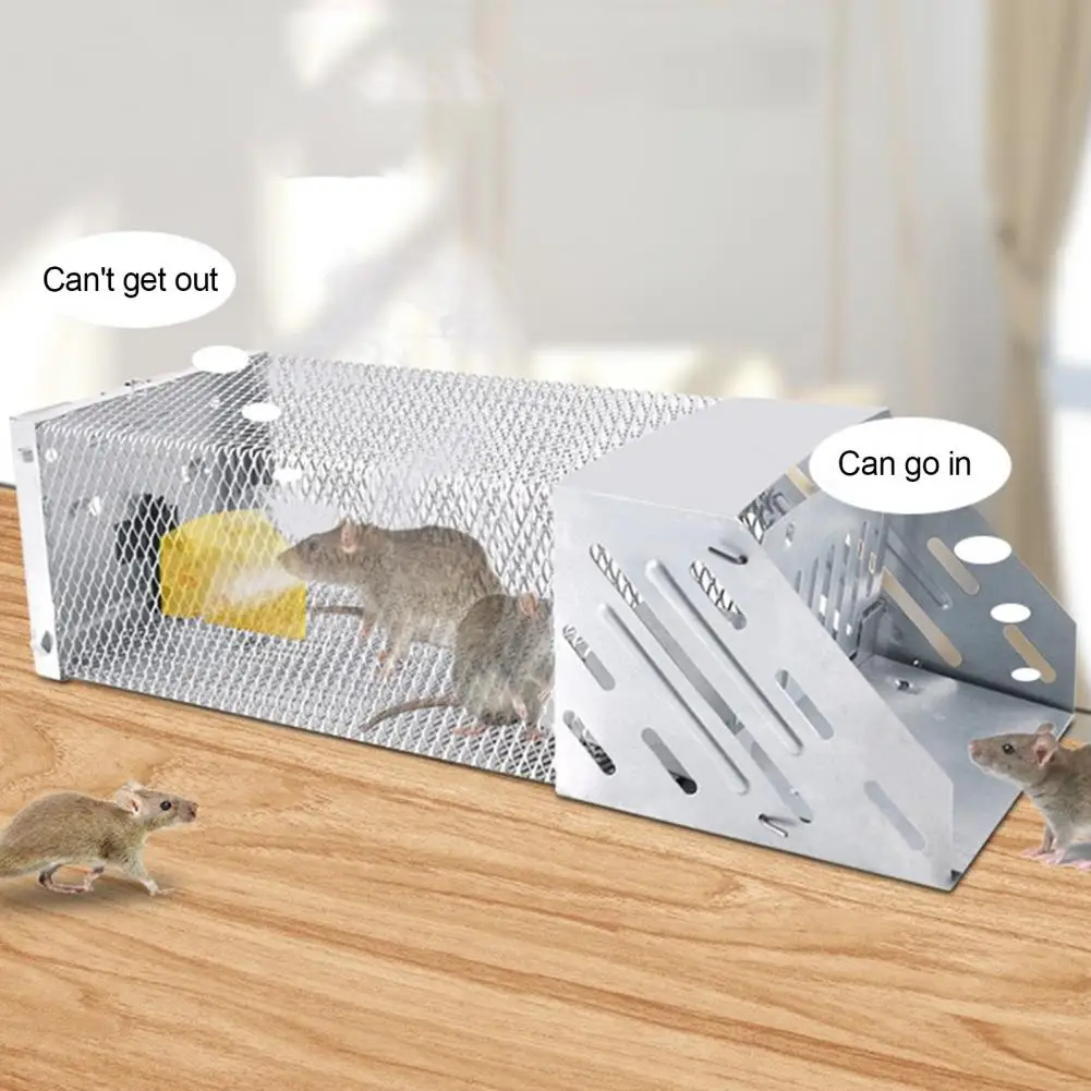 Rat-Trap-Cage-Excellent-Mouse-Trap-Case-Stainless-Steel-Small-Animal ...