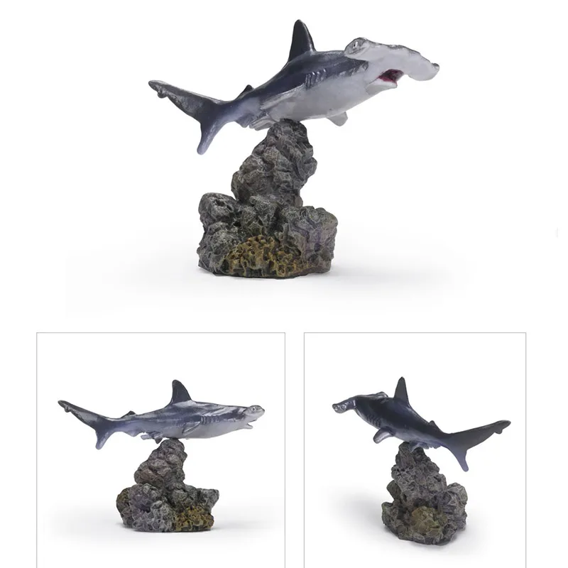 BANDAI-Mini requin Gashapon Egg Big Seattle Map of Carcharodon Carpros ...