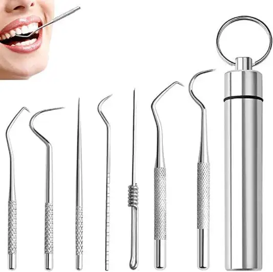 Toothpicks-Pocket-Set-Stainless-Steel-Reusable-Portable-Metal-Floss ...