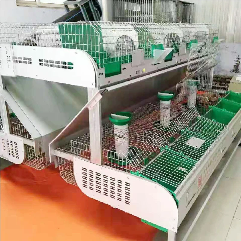 Modern-Design-Industrial-Rabbit-cages-Commercial-Breeding-Rabbit-Cage.jpg