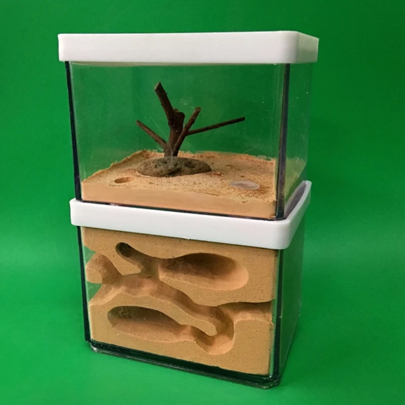 Store Home Products Feedback