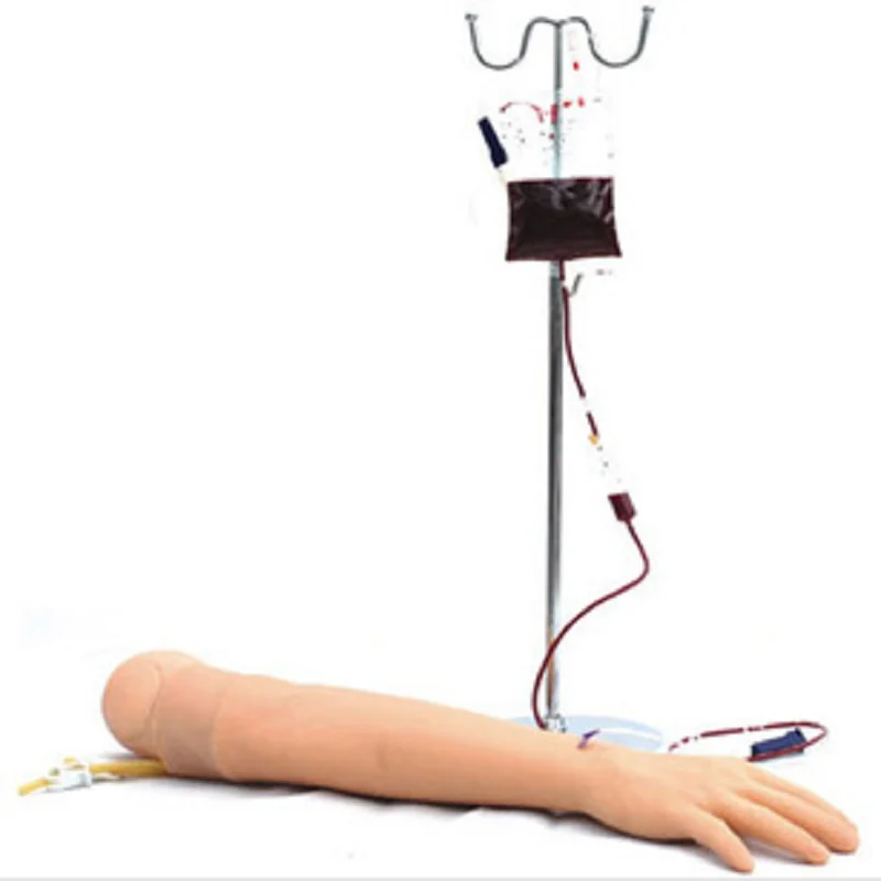 Medical-Science-Medical-Students-Training-Model-Advanced-Arm ...