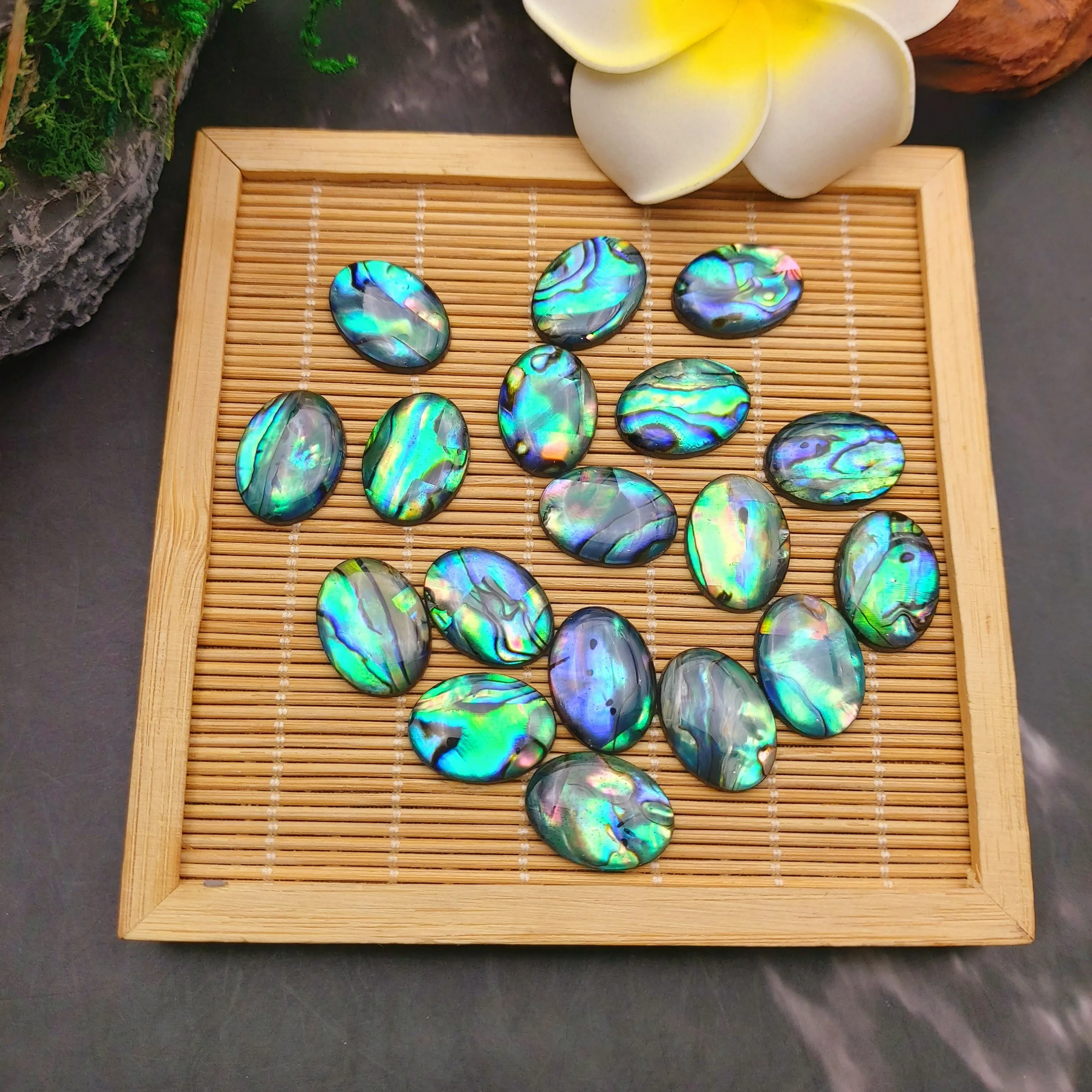 10pcs 8x13mm Abalone Shell Cabs for Rings DIY Making Bright Polish Paua ...