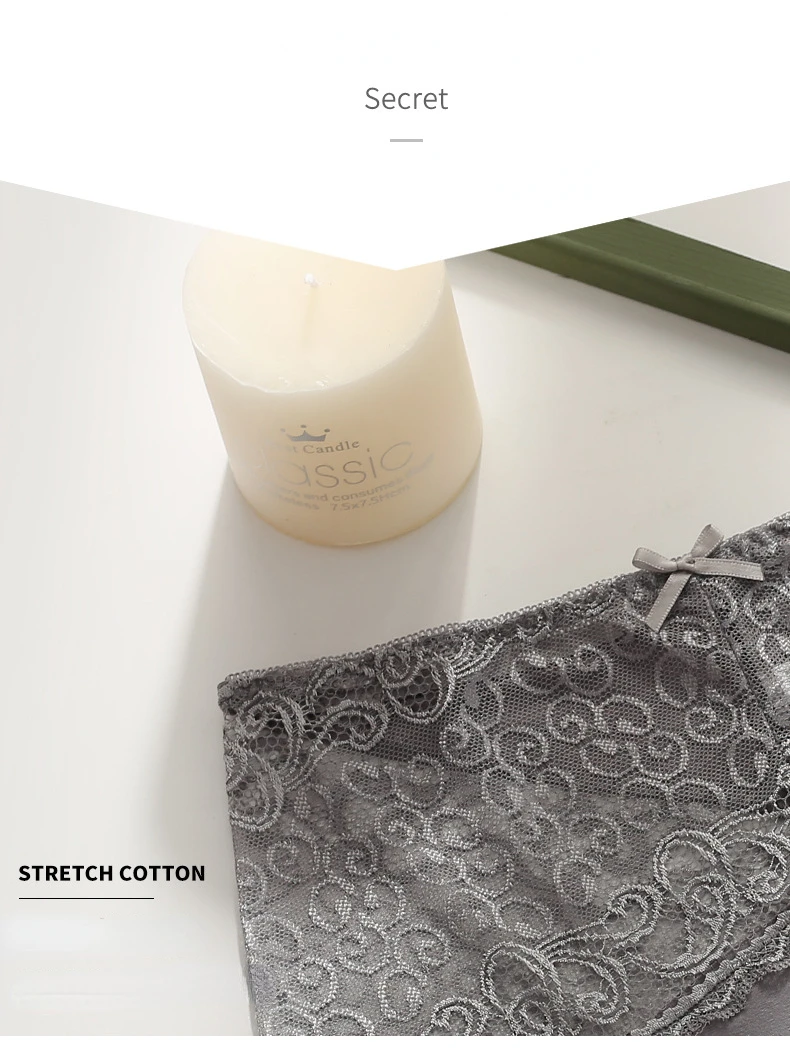 Lingerie See Panties Mesh | Lace Hip-lifting Abdomen Briefs | Sexy See ...