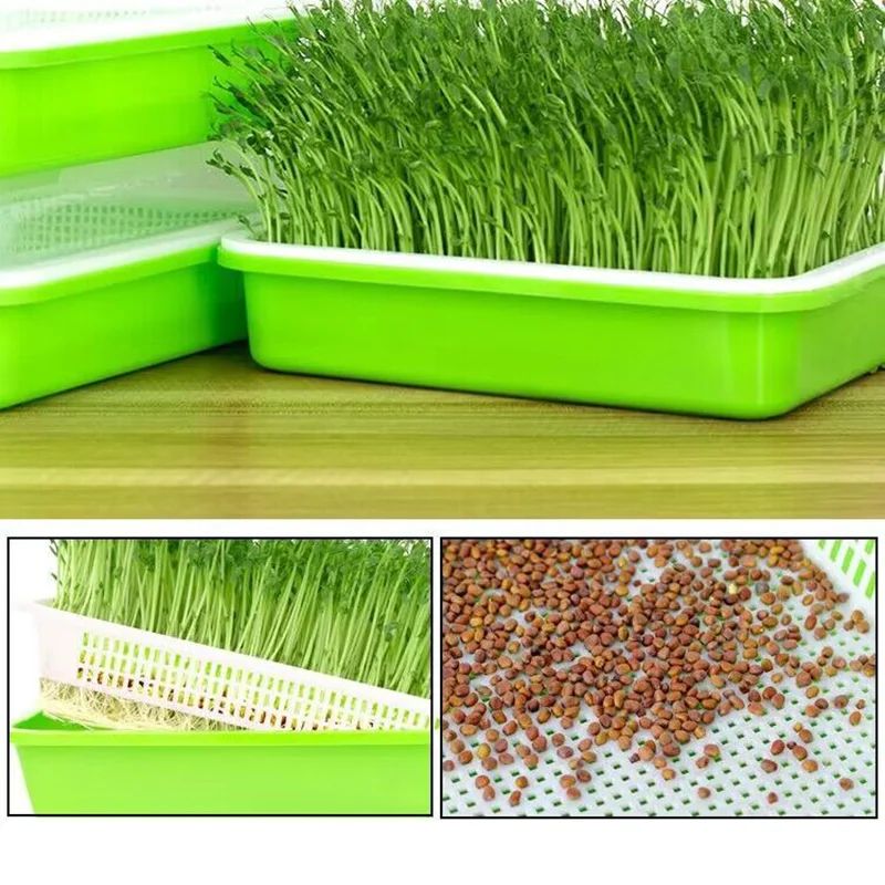 1set-Sprout-Dish-Growing-Pot-Hydroponic-Vegetable-Beans-Seeding-Pot ...