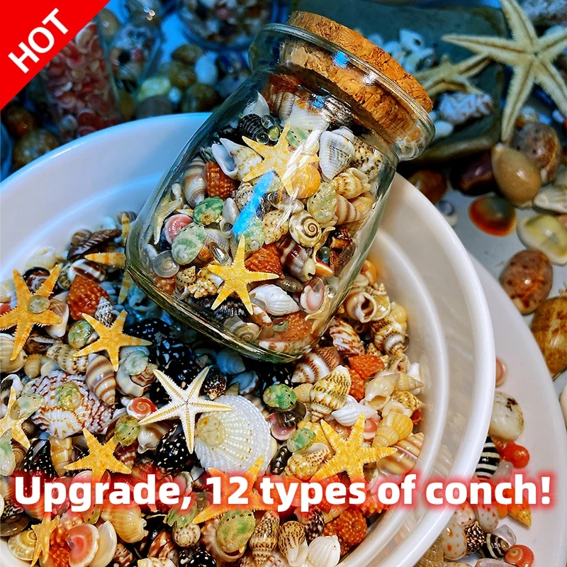 12-types-of-shell-conch-starfish-glass-sand-Wishing-Bottle-Ornaments ...