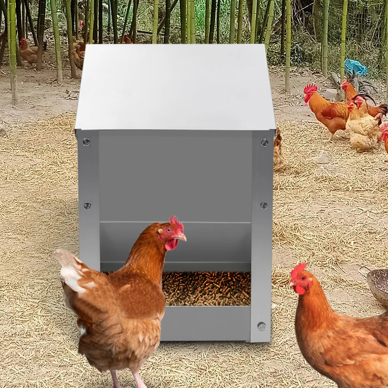 Automatic-Chicken-Feeder-for-Chickens-Ducks-and-Geese-Feed-Trough ...