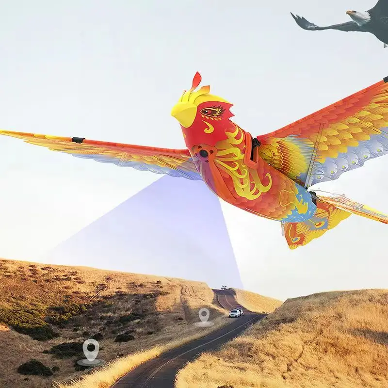 Flying Bird Images Hd