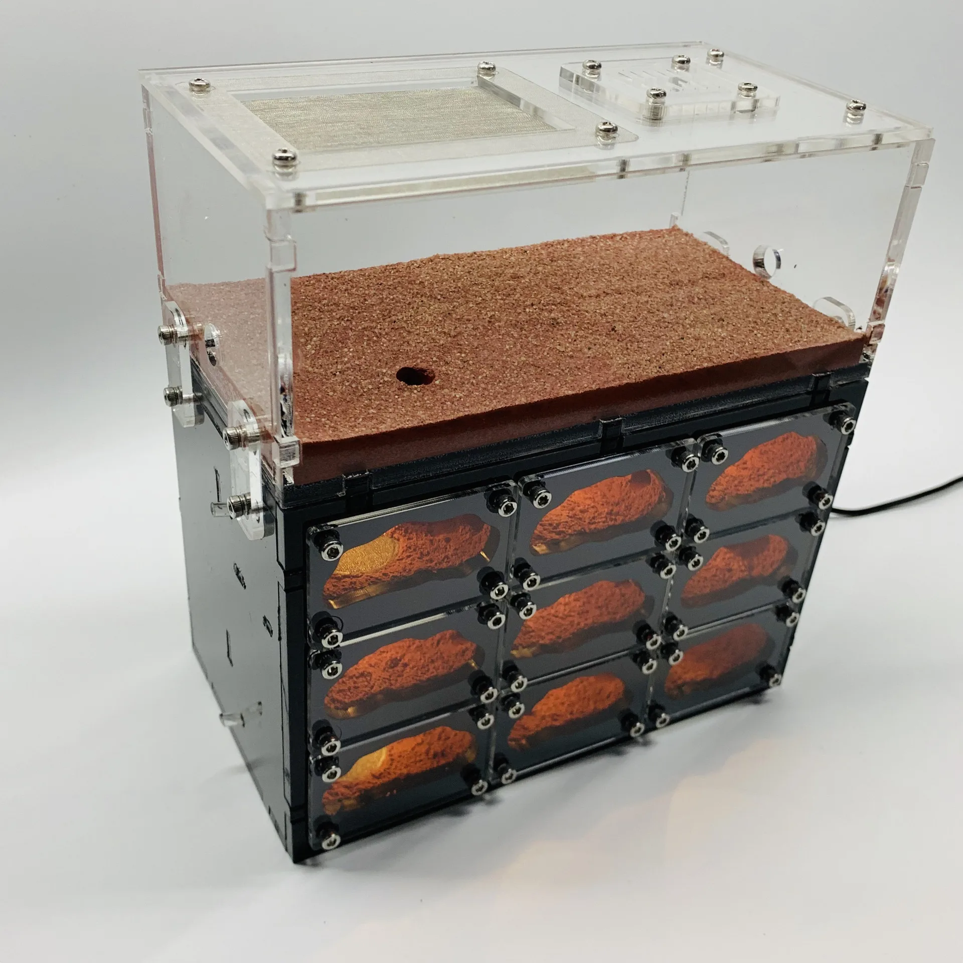 Ecological-Ant-Farm-with-Independent-Lights-Control-Anthill-Farm-Ants ...