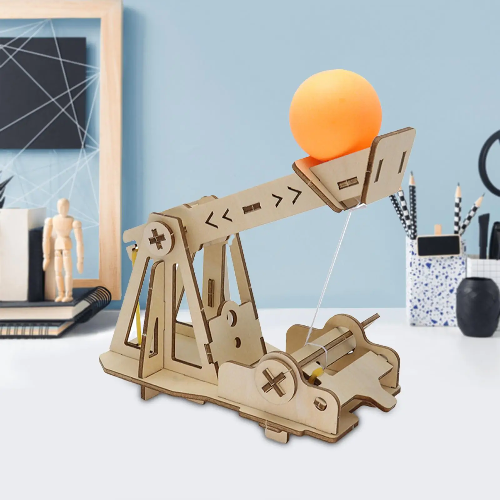 Wood-Science-Experiment-Set-para-meninos-e-meninas-projetos-de-ensino ...