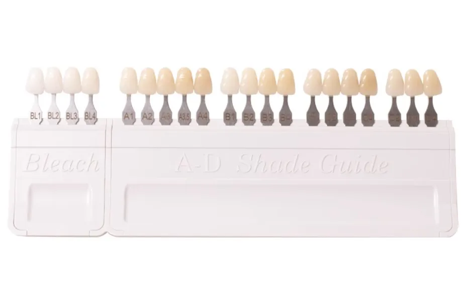 Dental-Teeth-A-D-Shade-Guide-Ivoclar-Vivadent-Porcelain-Material-20 ...