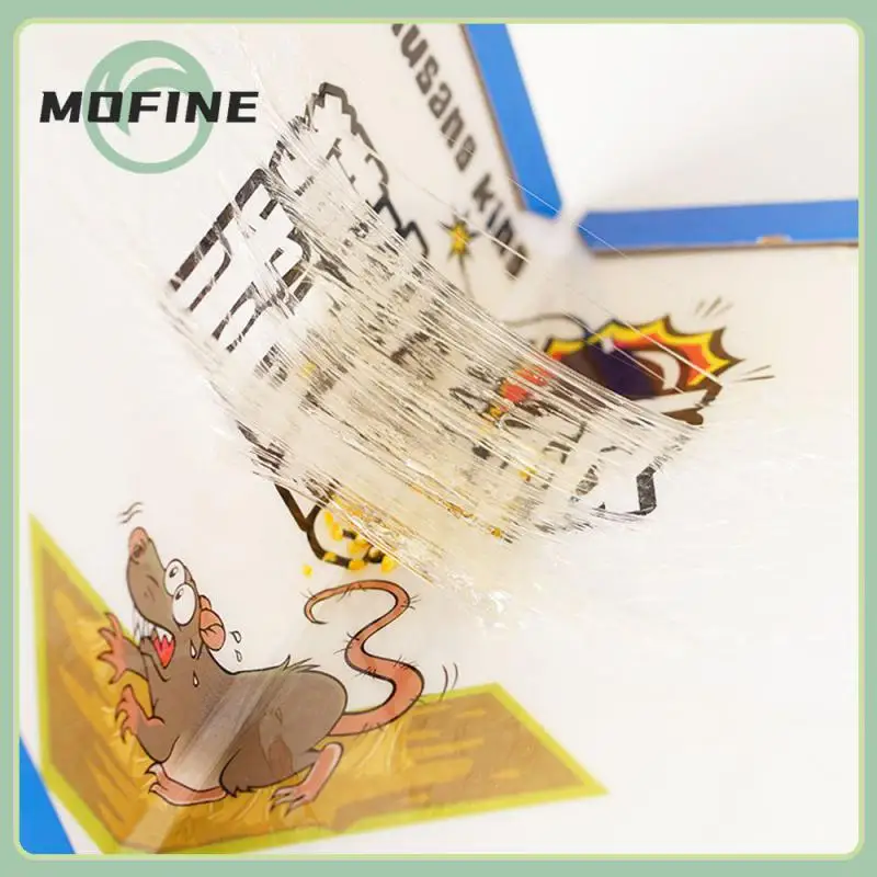 Pegamento adhesivo fuerte para ratas, trampa para ratones, trampa para ...