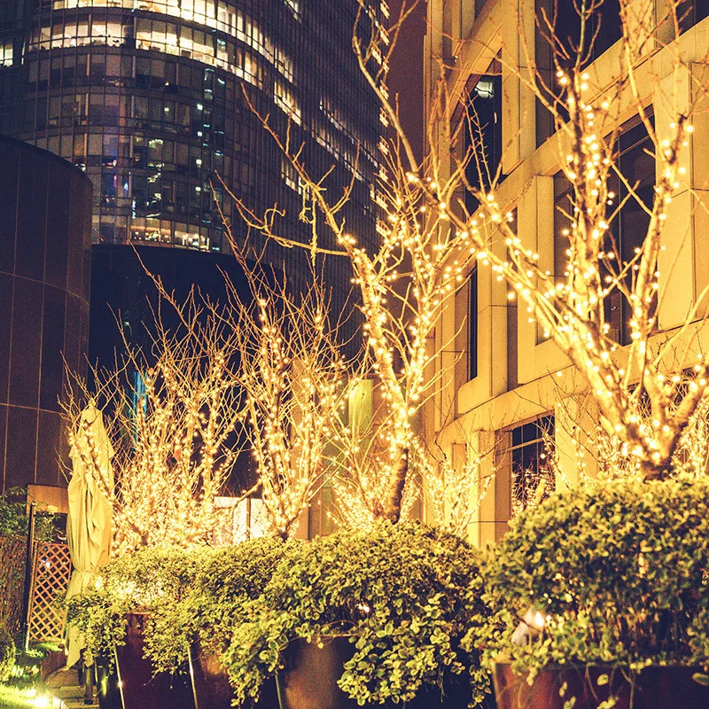 String Lights Wedding Indoor