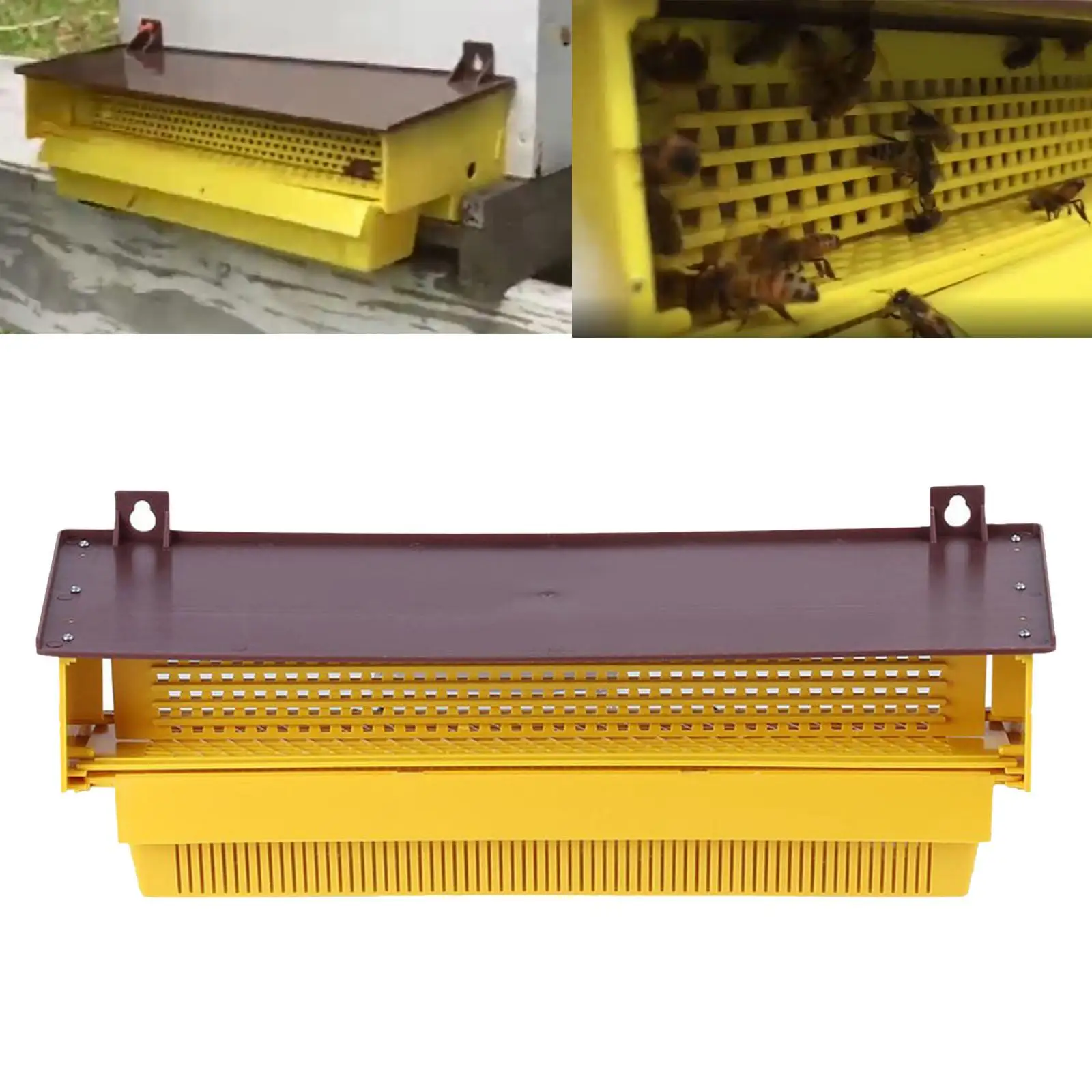 Hanging-Pollen-Trap-Collector-15-3x5-5x4inch-Accessories-Removable-for ...