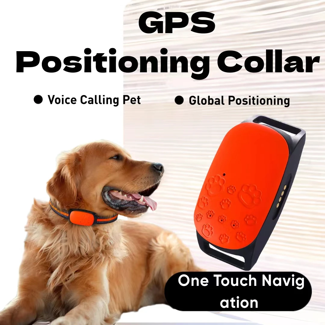 4G-pet-GPS-locator-Dog-cat-anti-lost-artifact-Beidou-collar-locator ...