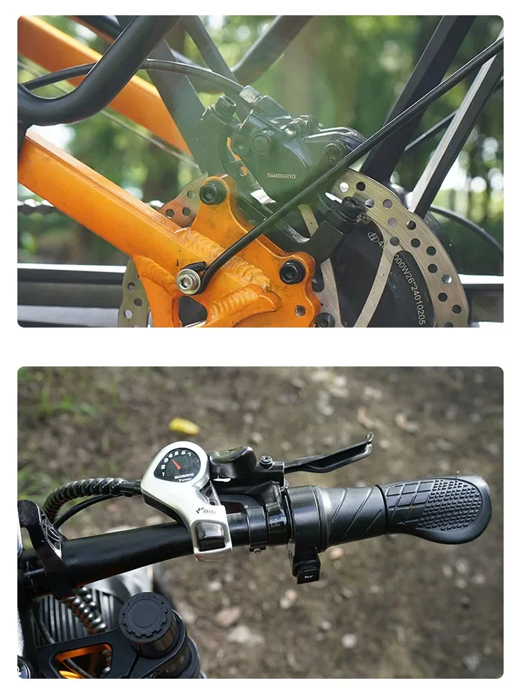 PULUMA Electric Bike Peak Power 3000W Motor 48V20AH E-Bike Hydraulic ...