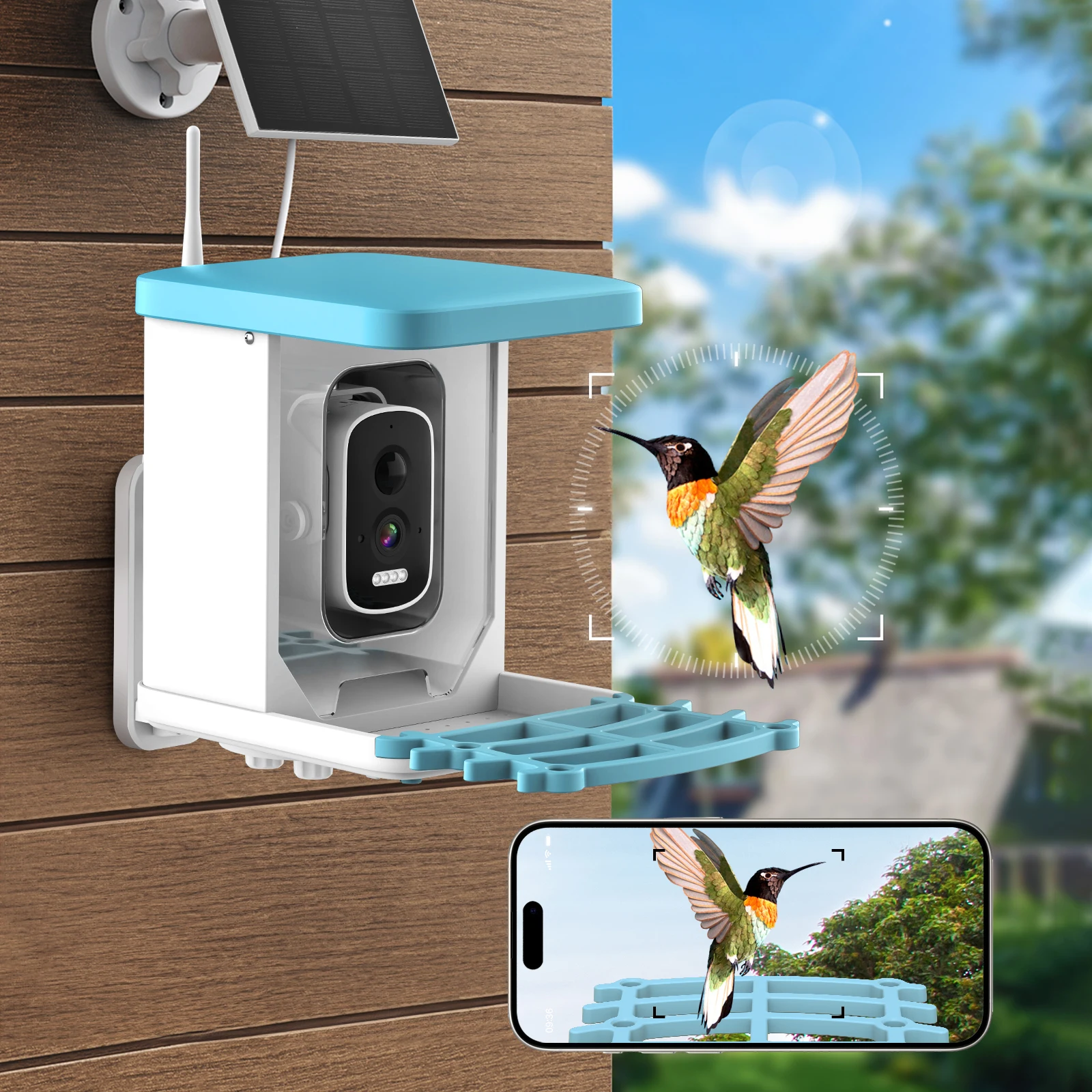 Smart-Bird-Feeder-Camera-With-Ai-Identify-Bird-Species-2k-Wild-Bird ...