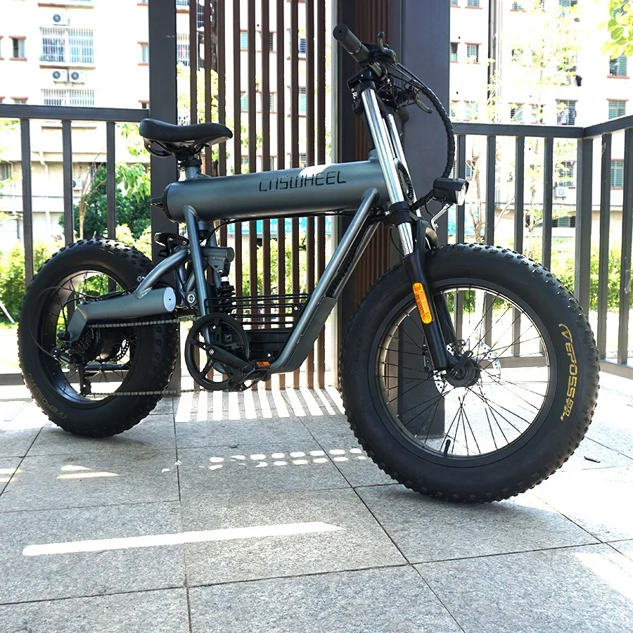 Fat Bike Professional Custom Sports Alloy Mountain Bike Big Tyre EV ...