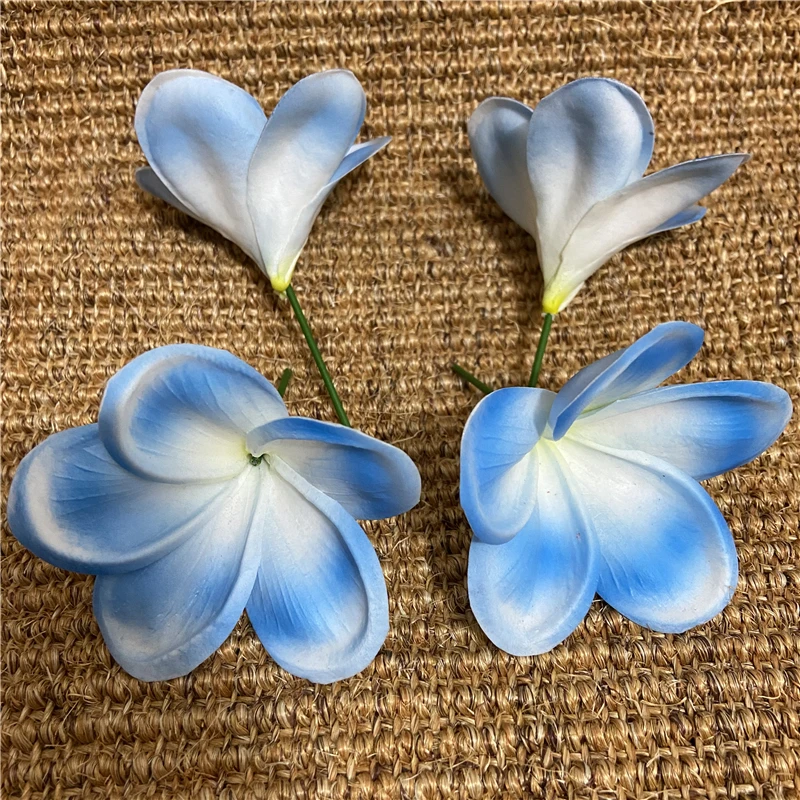 Blue Plumeria Flower
