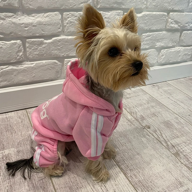 Yorkshire Terrier Clothes And Accessories