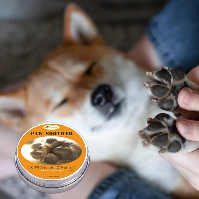 Is There Dog Lotion