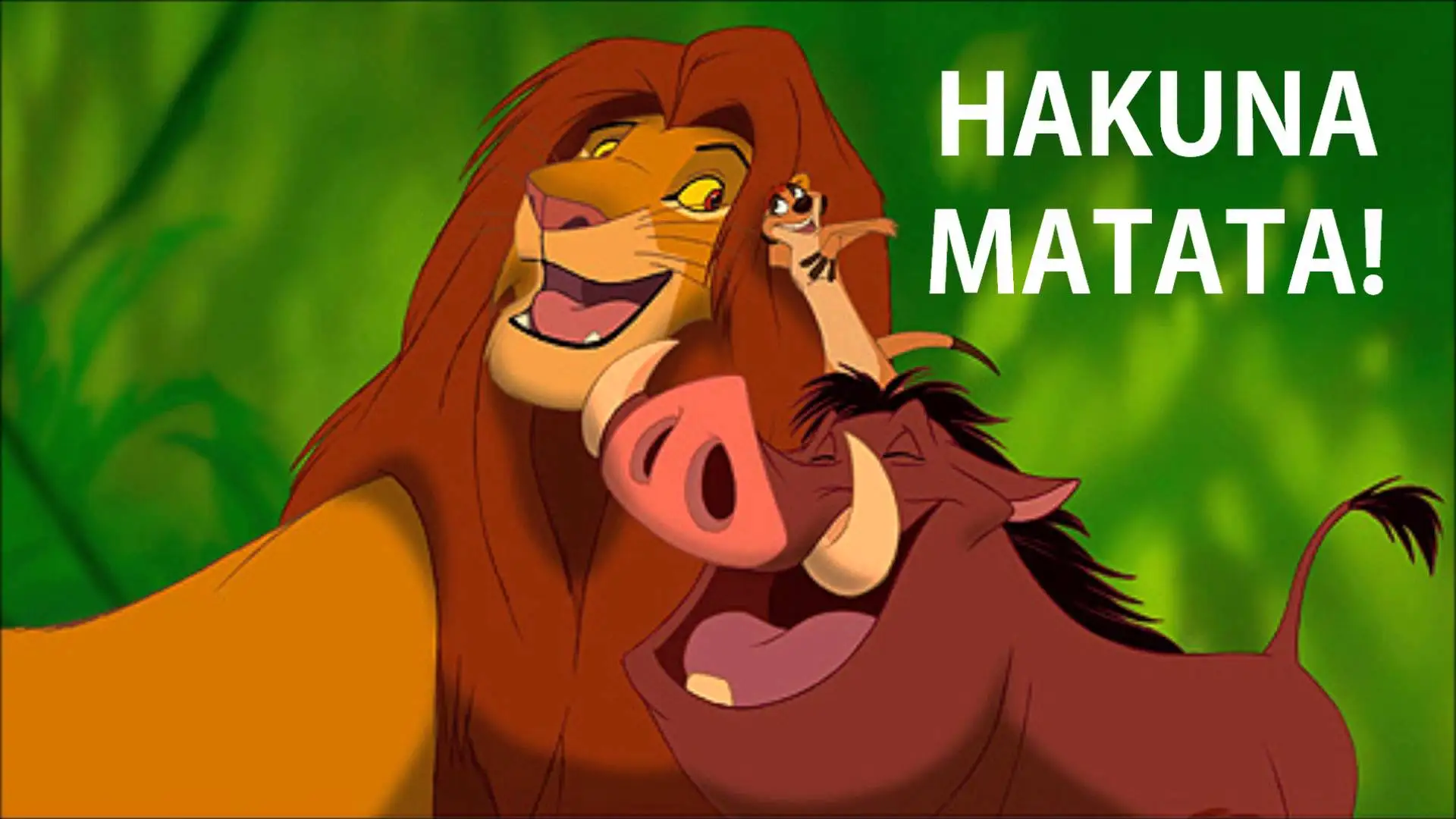 Lion King Hakuna Matata Wallpaper