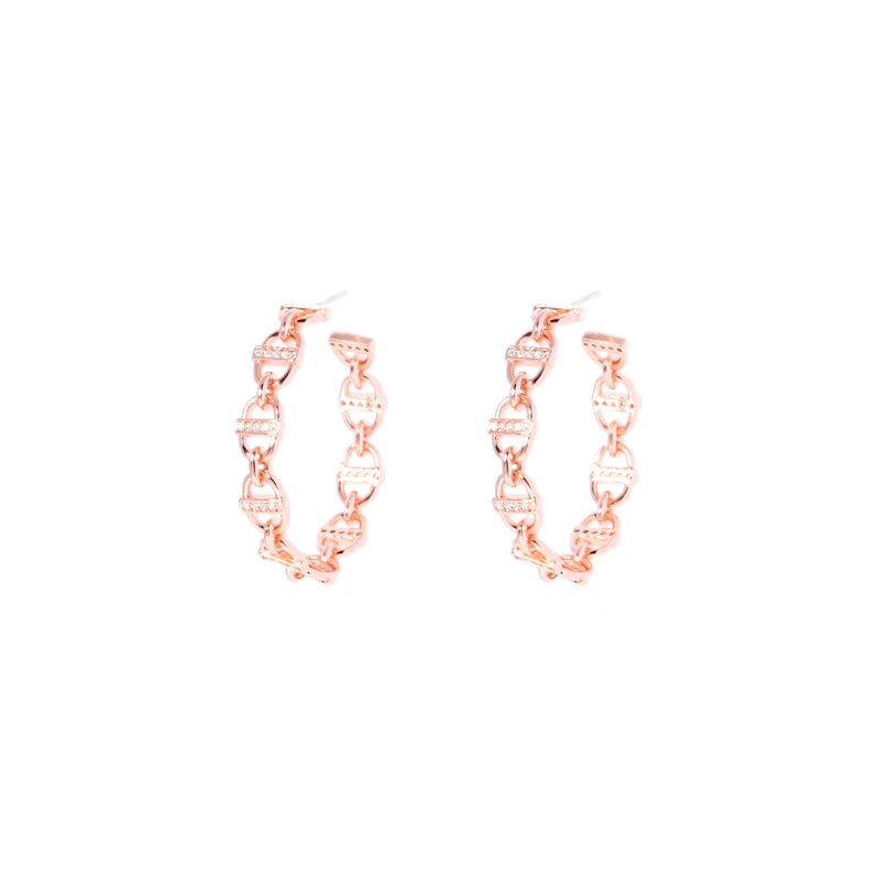 Xu RuiZhi Oversized Circle Earrings Ele Exaggerated Luxury Faion ...