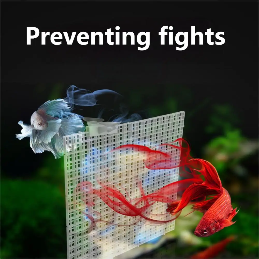 Aquarium-Grid-Divider-Fish-Tank-Divider-Multifunctional-Fish-Tank ...