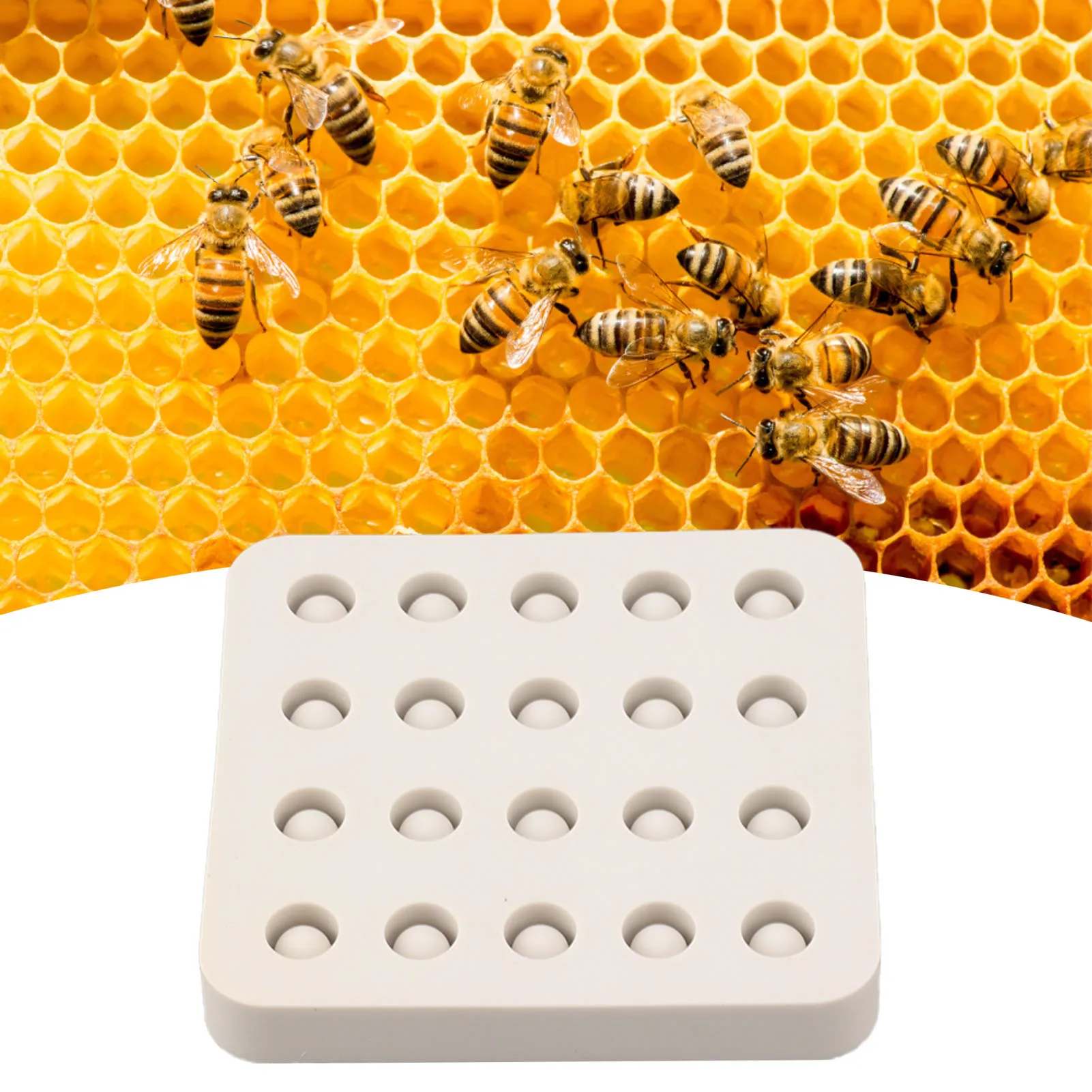 10mm-Silicone-Wax-Queen-Grafting-Cups-Silicone-Mold-Beekeeping-Beeswax ...