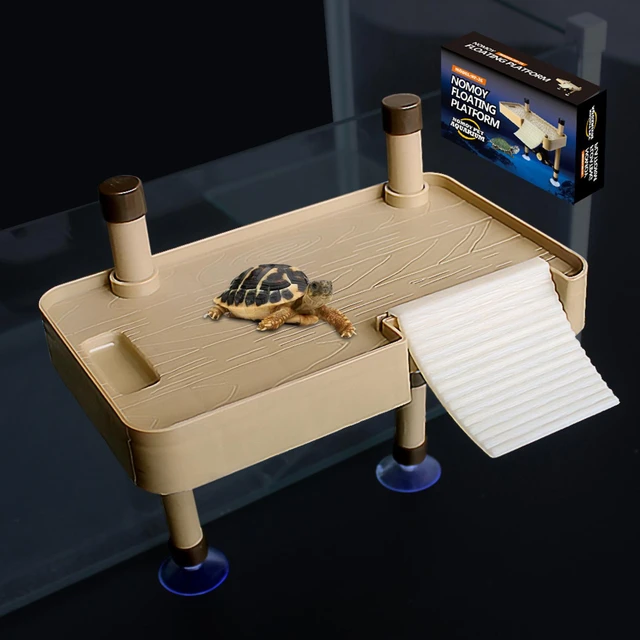 Pet Tortoise Tank