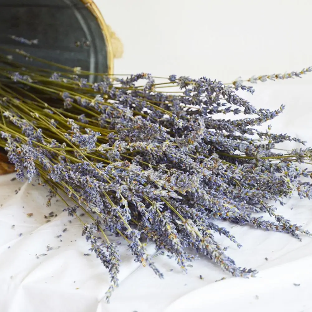 DIY Bunch of Natural Dried Lavender Flower Bouquet For Wedding Party ...