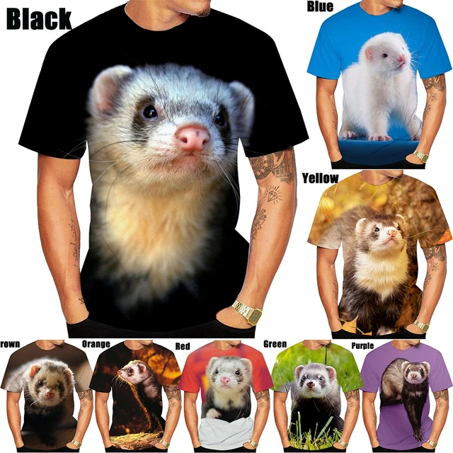 Ferrets Wearing Clothes