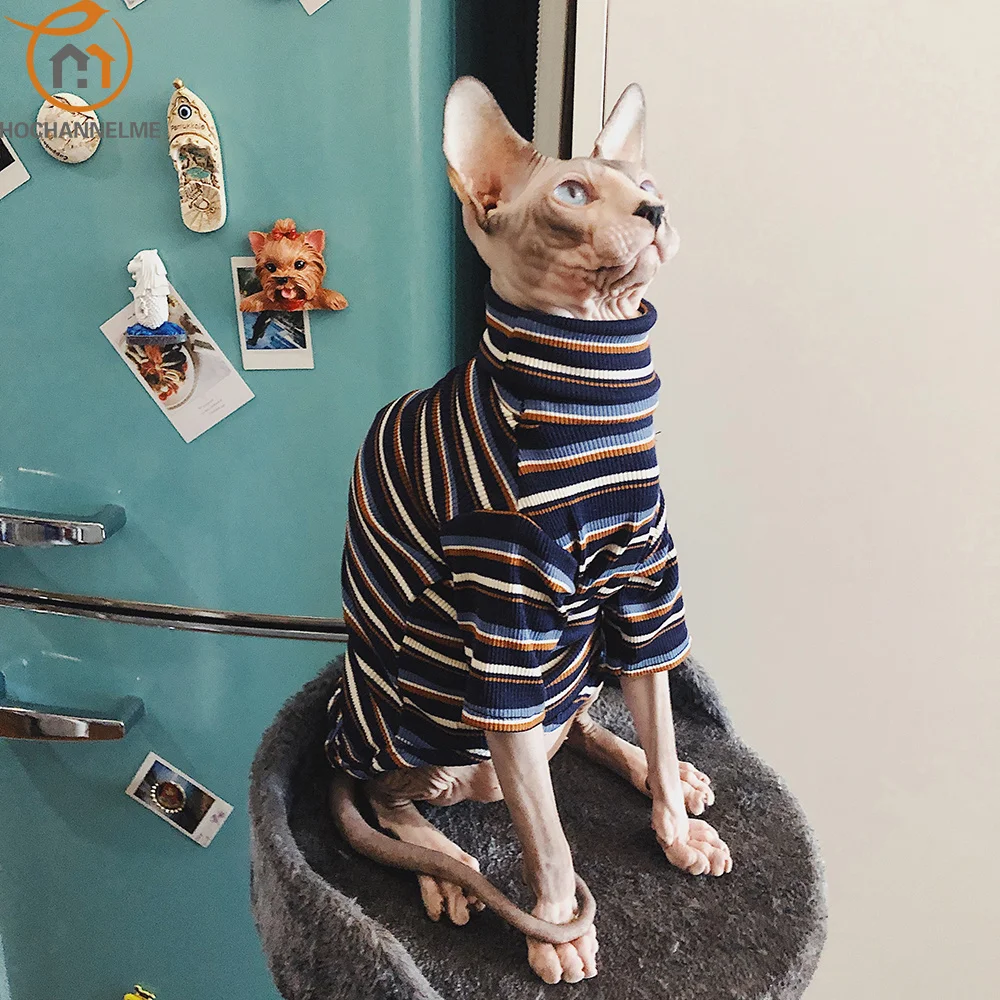 Sphynx Cat Wearing Clothes