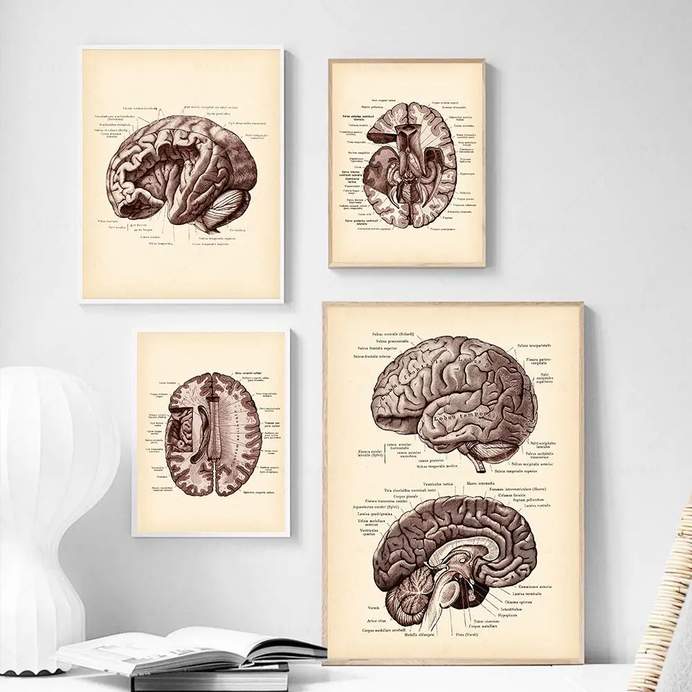 Brain Art Poster