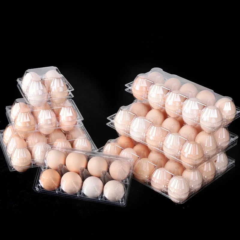 100pcs-Disposable-Transparent-Egg-Box-Shockproof-Plastic-Egg-Protection ...