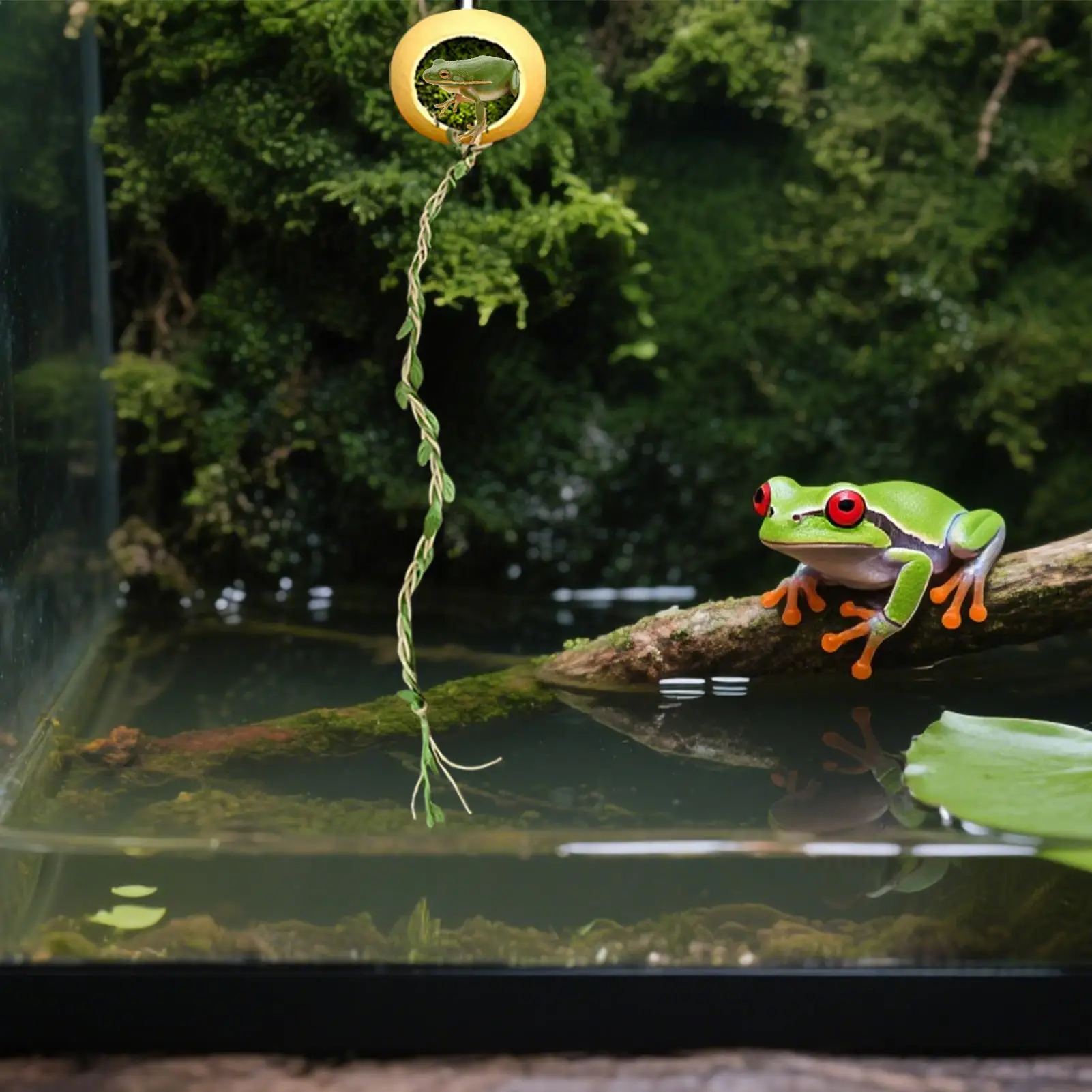 Jumping Spider Enclosure Accessories Jumping Spider House Hide Habitat ...