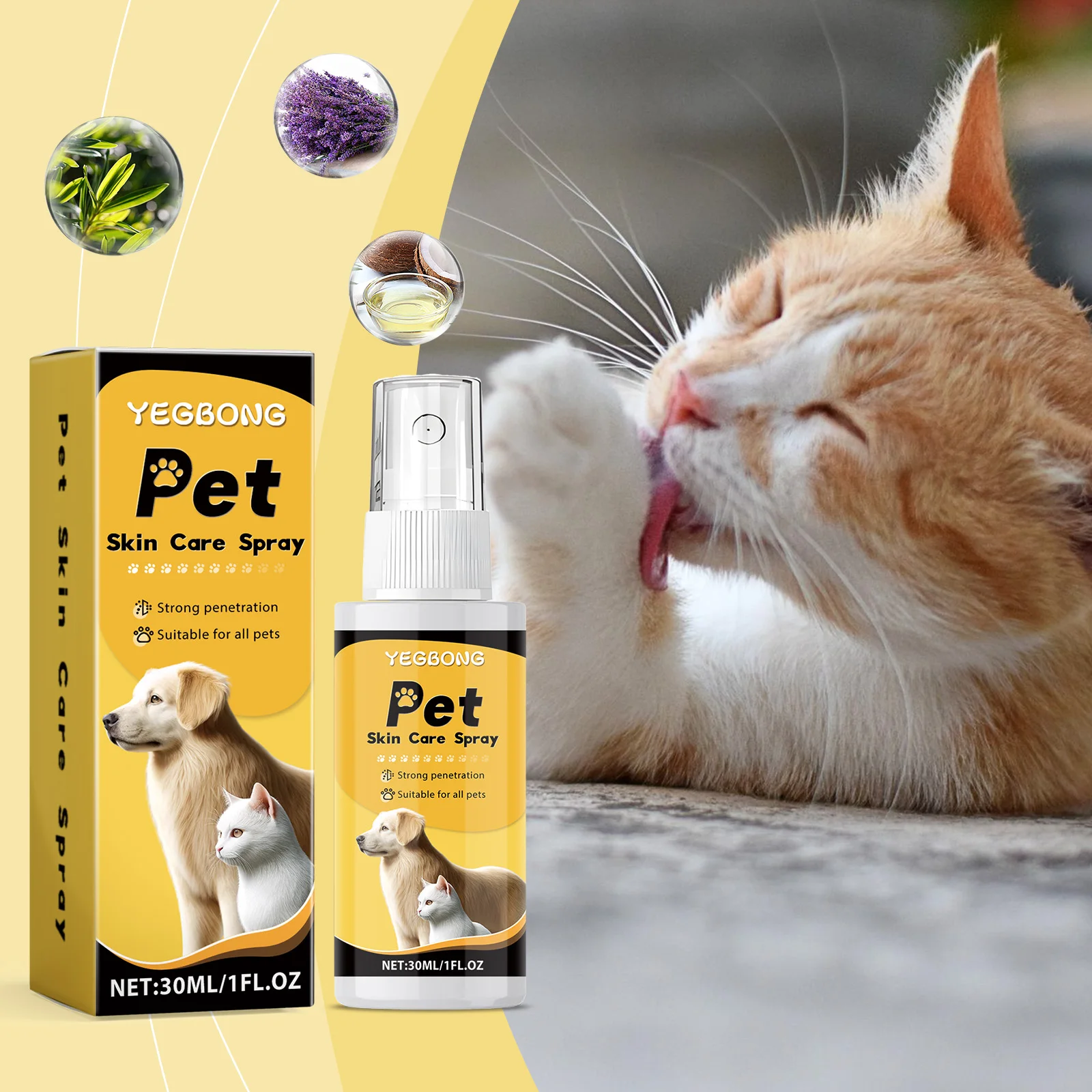 Cats Skins: The Ultimate Guide to Healthy, Soothing Care for Your ...