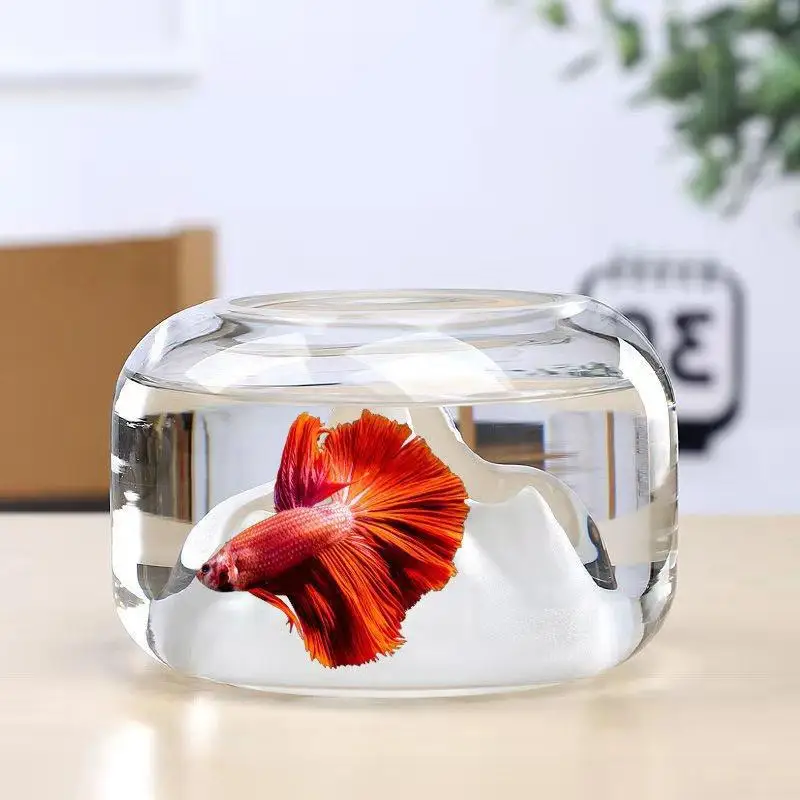 Betta Fish Bowl Bottle