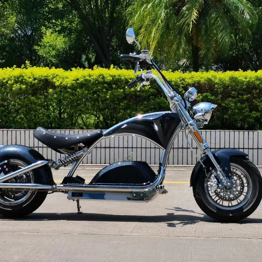 Adult-Big-2-Wheel-1500-W-EU-200KG-Max-Load-E-Bike-Fat-Tyre-Electric ...