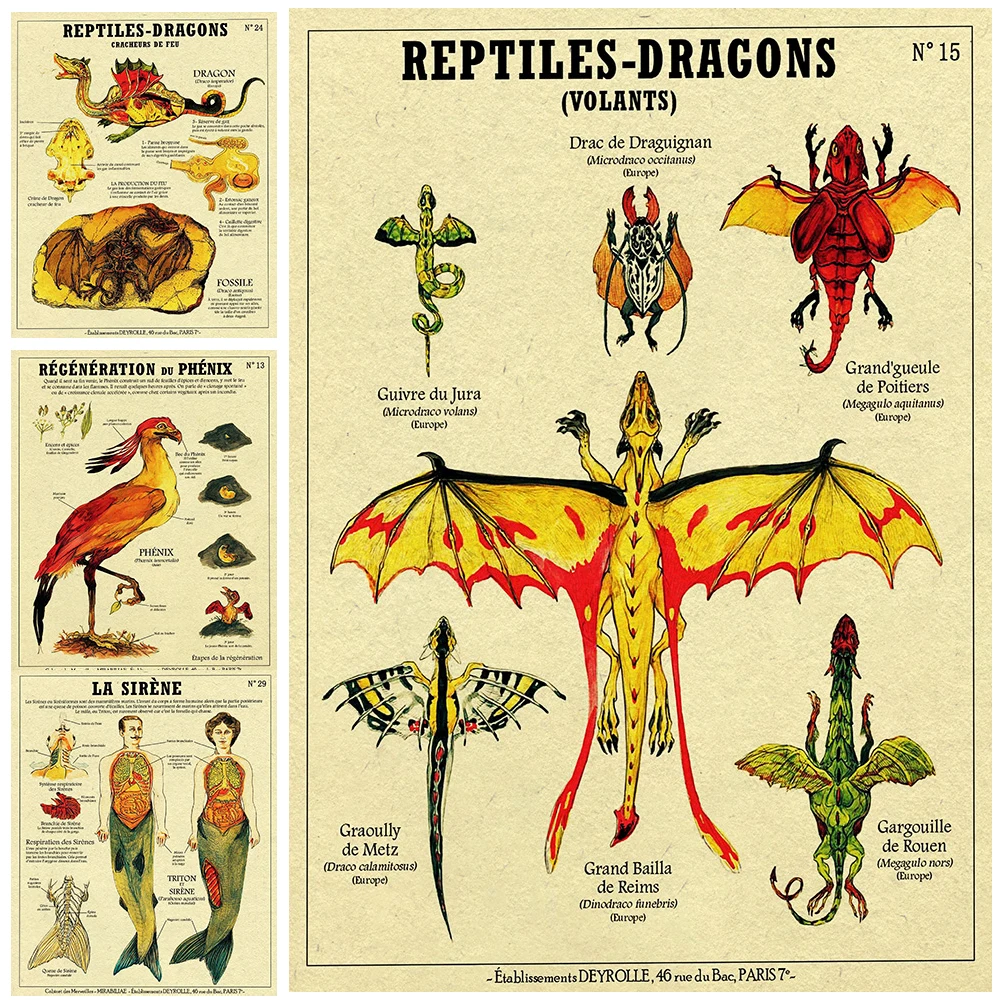 Store Home Products Outdoor Fun Feedback