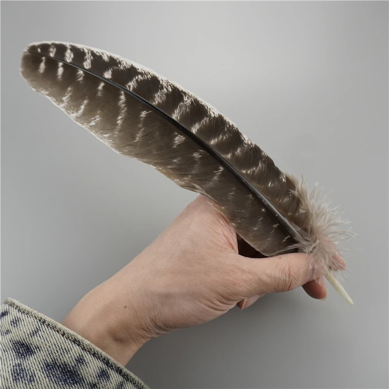 Indian Eagle Feather
