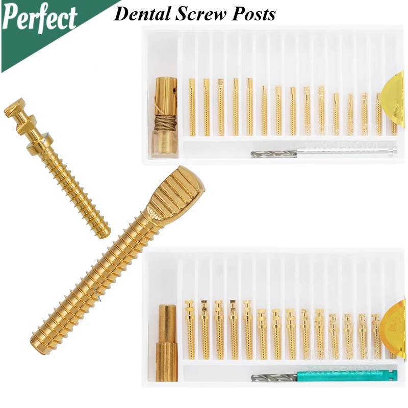 Dentist Screw Posts Set for Anterior Teeth Dental Screw Kit Stainless ...