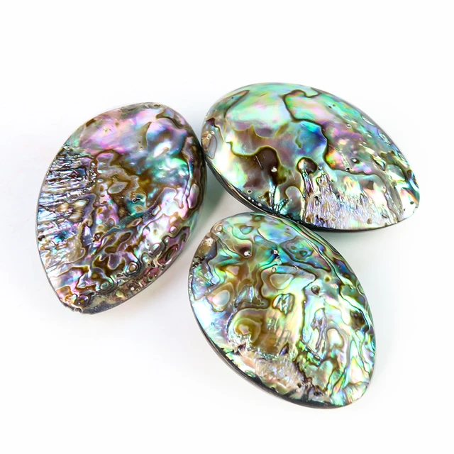 New Zealand Paua Shell Pieces
