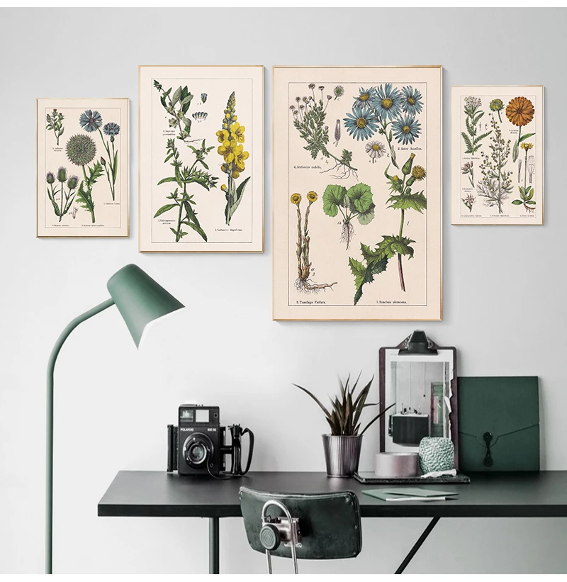 Vintage-Botanical-Herbs-Posters-and-Prints-Home-Wall-Decor-Antique ...