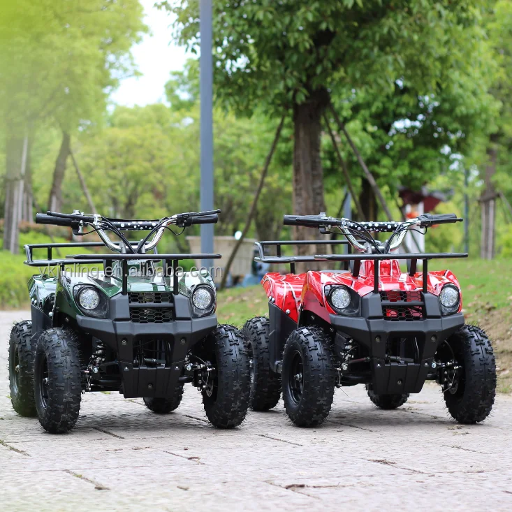 jinling-800w-1500W-Lead-acid-four-Wheeler-electric-Drive-ATV-Reverse ...