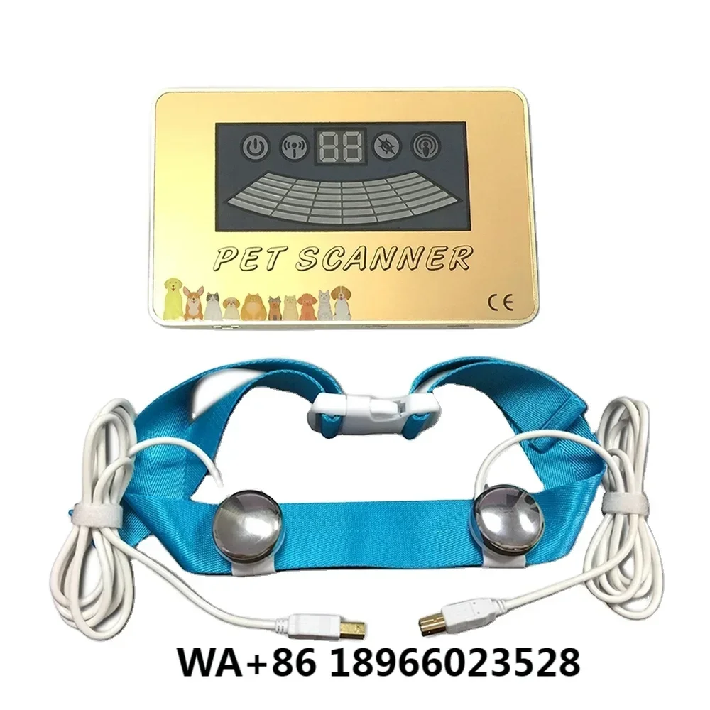 For-dogs-and-cats-body-health-checking-new-quantum-animals-body-scanner.jpg