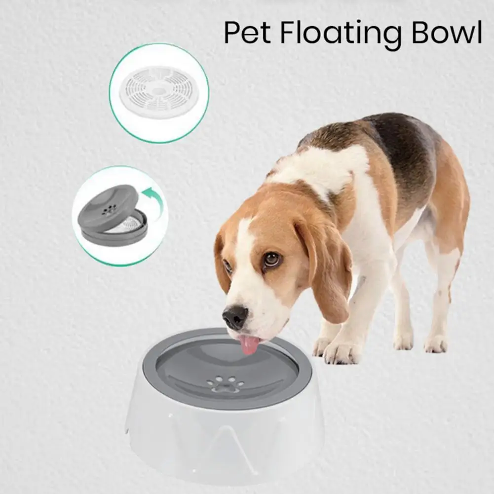 Cute Dog Water Bowl